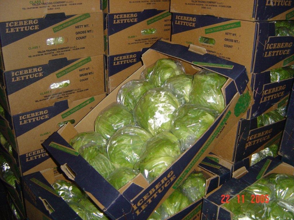 KAKO SE PRIPRAVI SOLATA LEDENKA ZA PRODAJO (angleška verzija) | Vitaminko